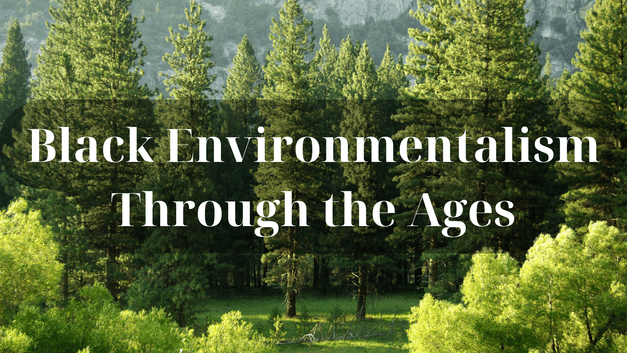 Black Environmentalism Through the Ages – Refillism