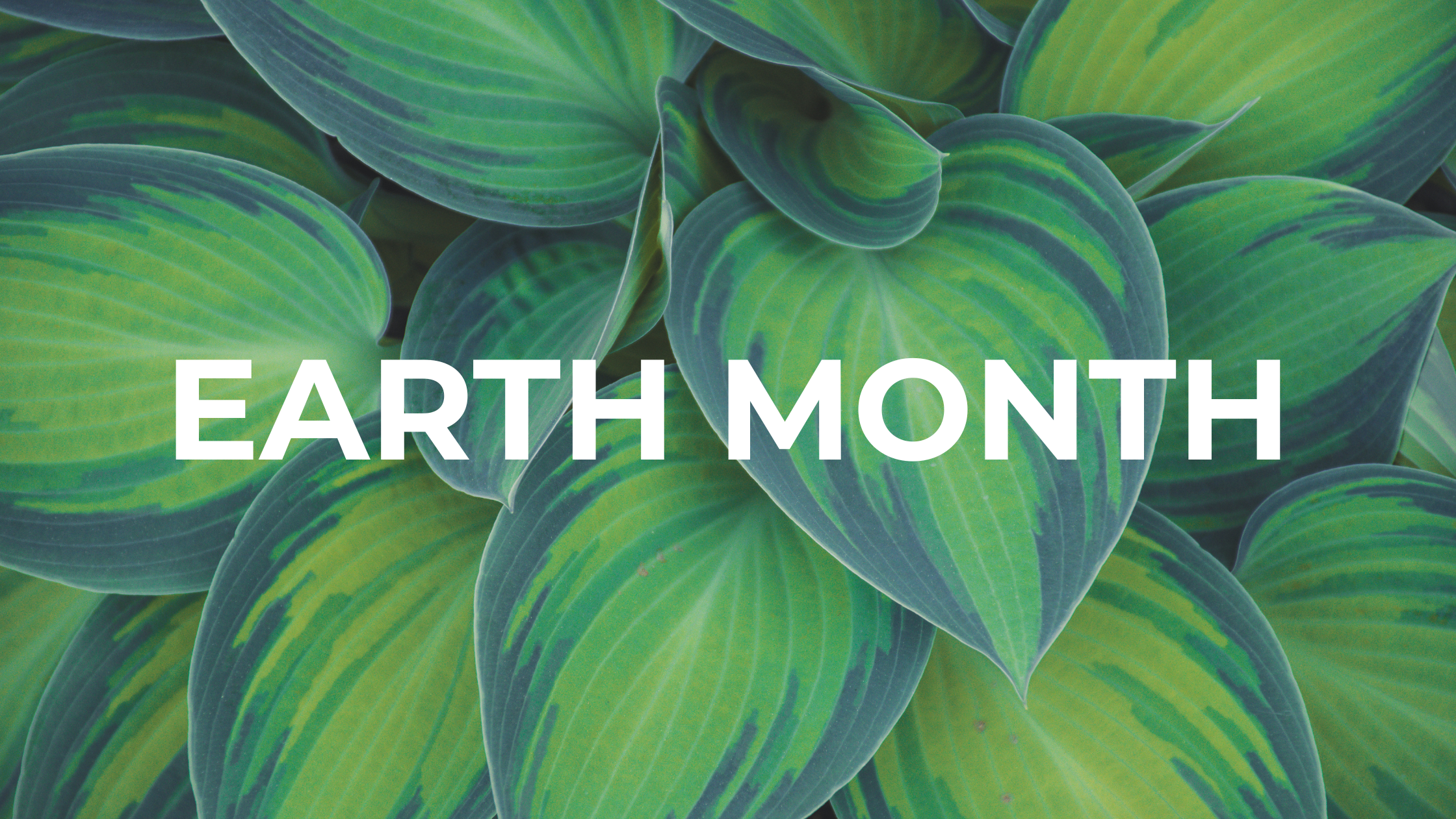 Earth Month Events in York PA | Refillism April Workshops & Giveaways