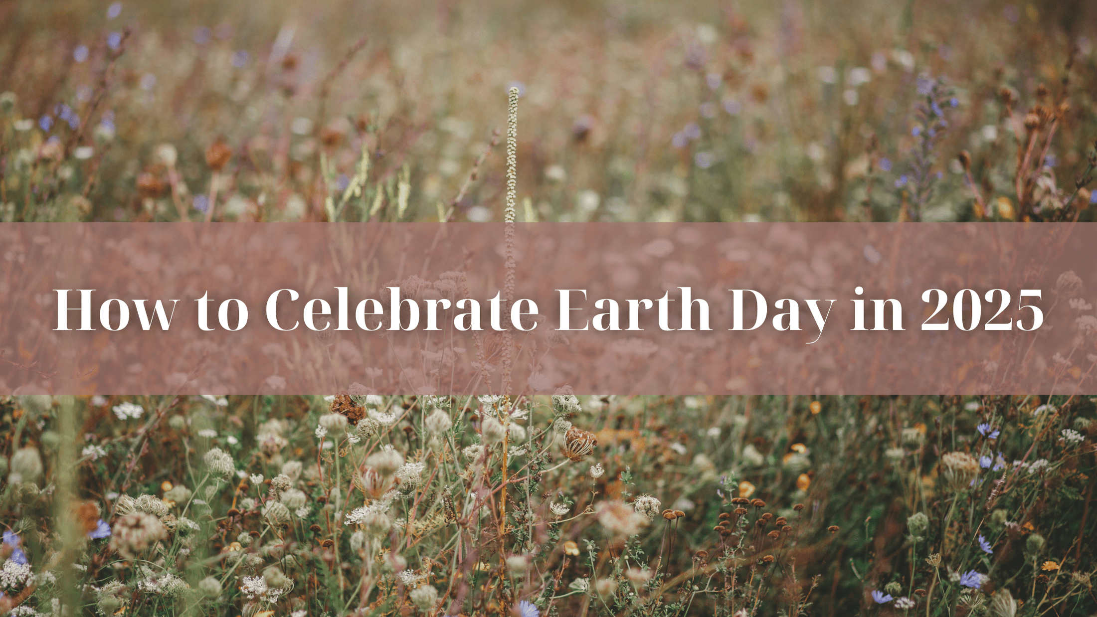How to Celebrate Earth Day in 2025 – Refillism